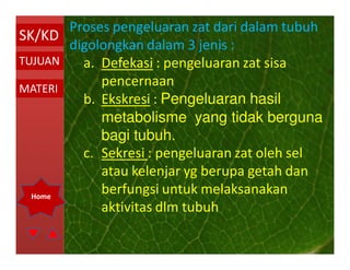 Sistem ekskresi oleh ismail | PDF