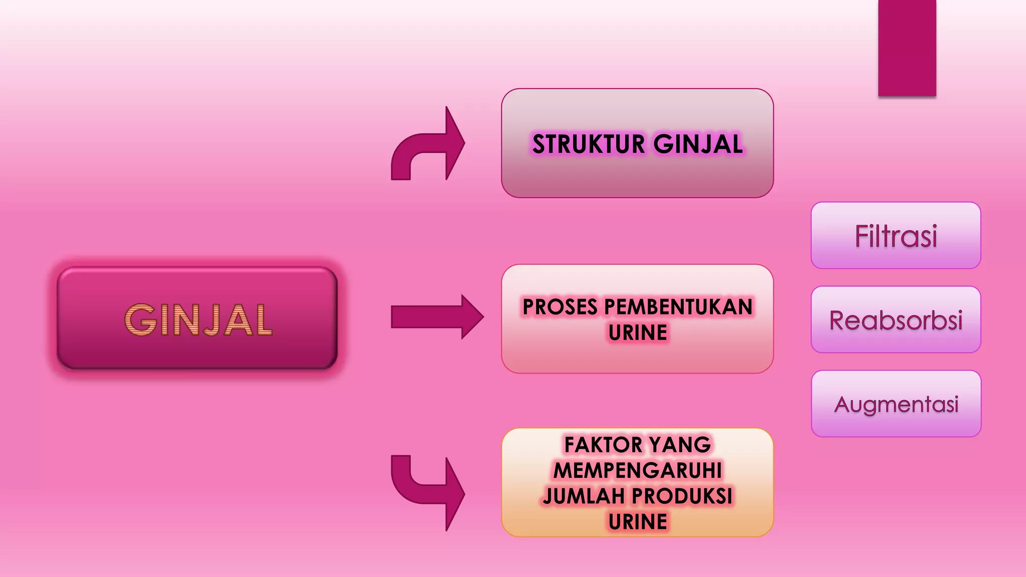 Sistem ekskresi pada ginjal | PPTX