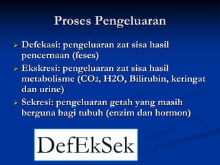 Sistem ekskresi pada manusia | PPT
