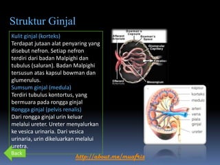 Sistem ekskresi pada manusia | PPSX