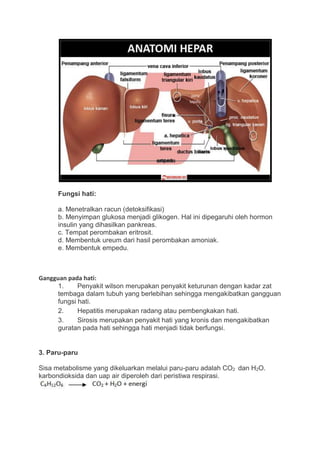 Sistem ekskresi pada manusia | DOCX