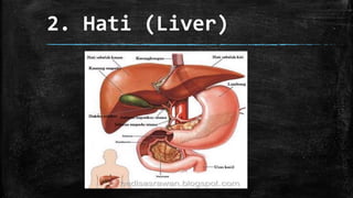 Sistem ekskresi pada manusia | PPT