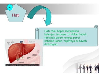 Sistem ekskresi pada manusia | PPT