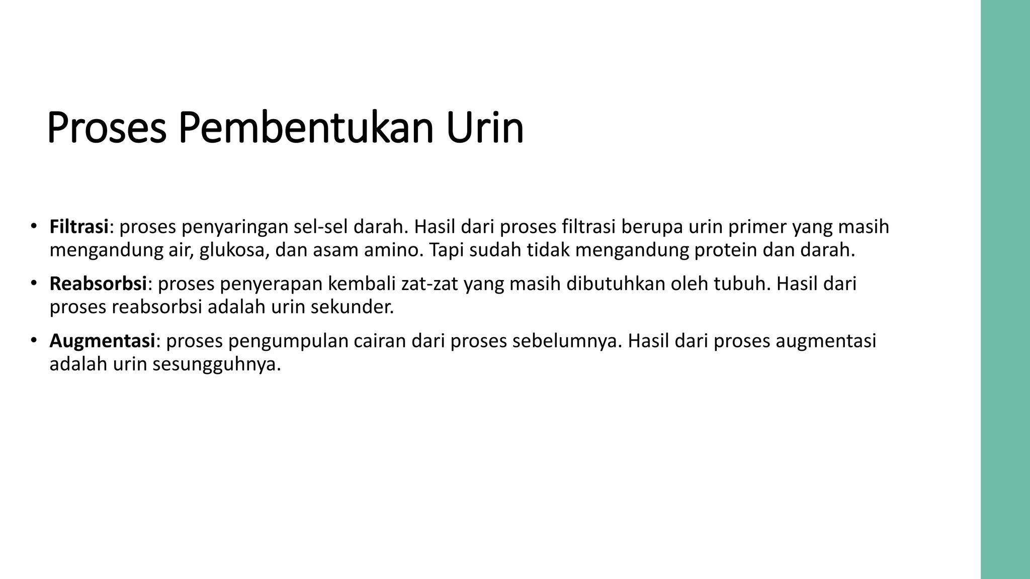 Sistem Ekskresi Pada Manusia | PPTX