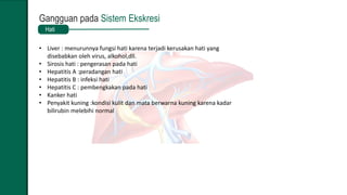 Sistem Ekskresi Pada Manusia | PPTX