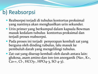 Sistem ekskresi pada manusia | PPTX