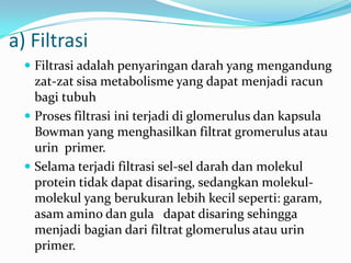 Sistem ekskresi pada manusia | PPTX