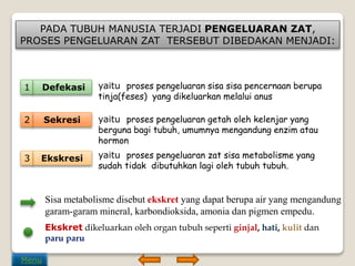 Sistem ekskresi pada manusia | PPTX