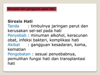 Sistem ekskresi pada manusia | PPTX