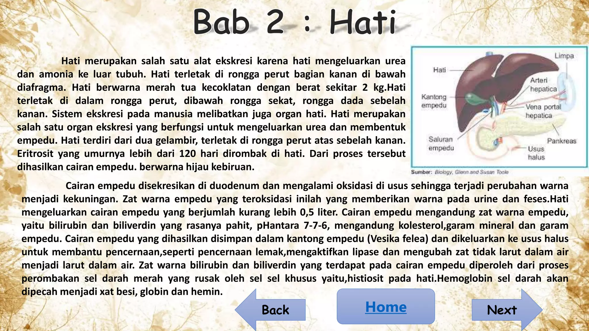 Sistem_Ekskresi_pada_manusia_Kulit_dan_H.pptx