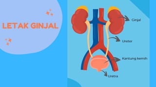 SISTEM EKSRESI.pdf | Free Download