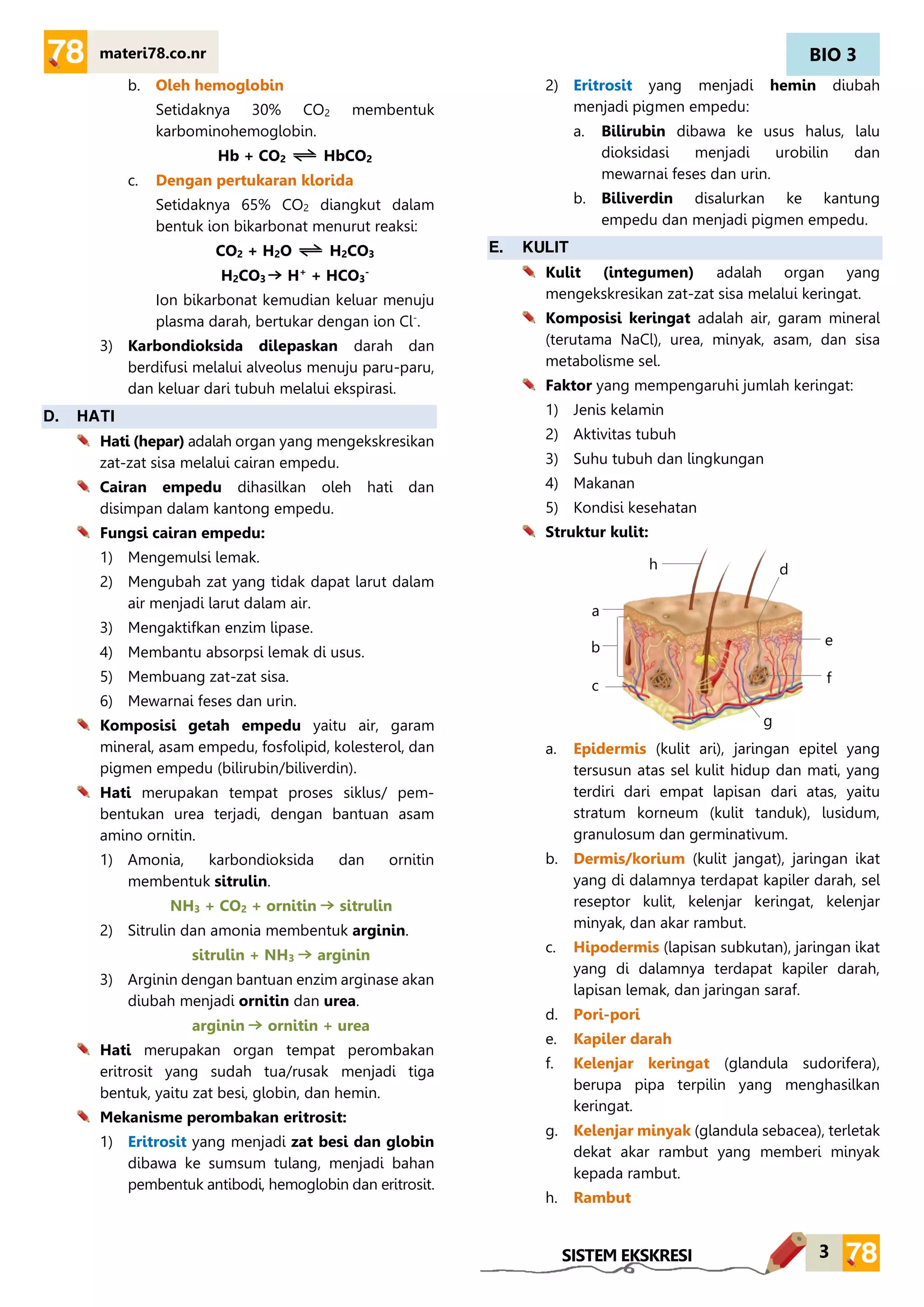 MATERI Sistem eksresi KELAS XII SMA | PDF