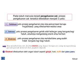 Sistem Eksresi kelas 8.pptx