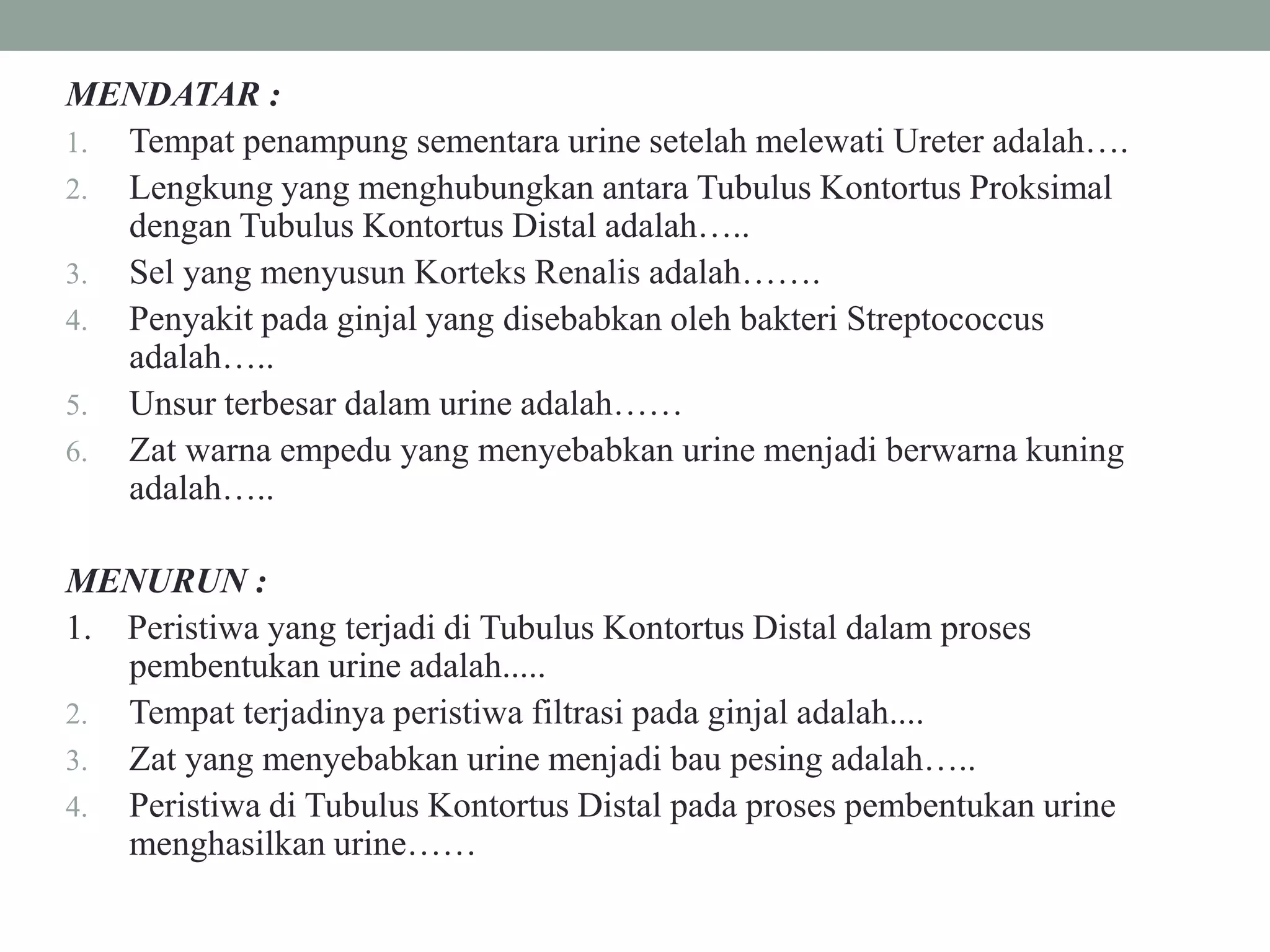 Sistem eksresi pada ginjal | PPTX