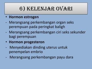 Sistem endokrin | PPTX