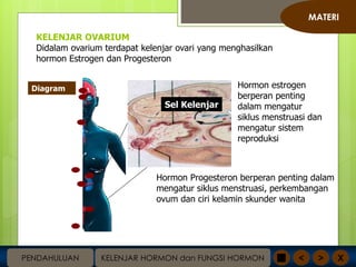 SISTEM ENDOKRIN | PPT