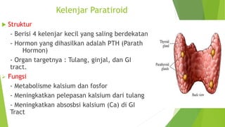 Sistem endokrin | PPTX