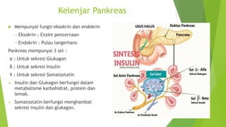 Sistem endokrin | PPTX