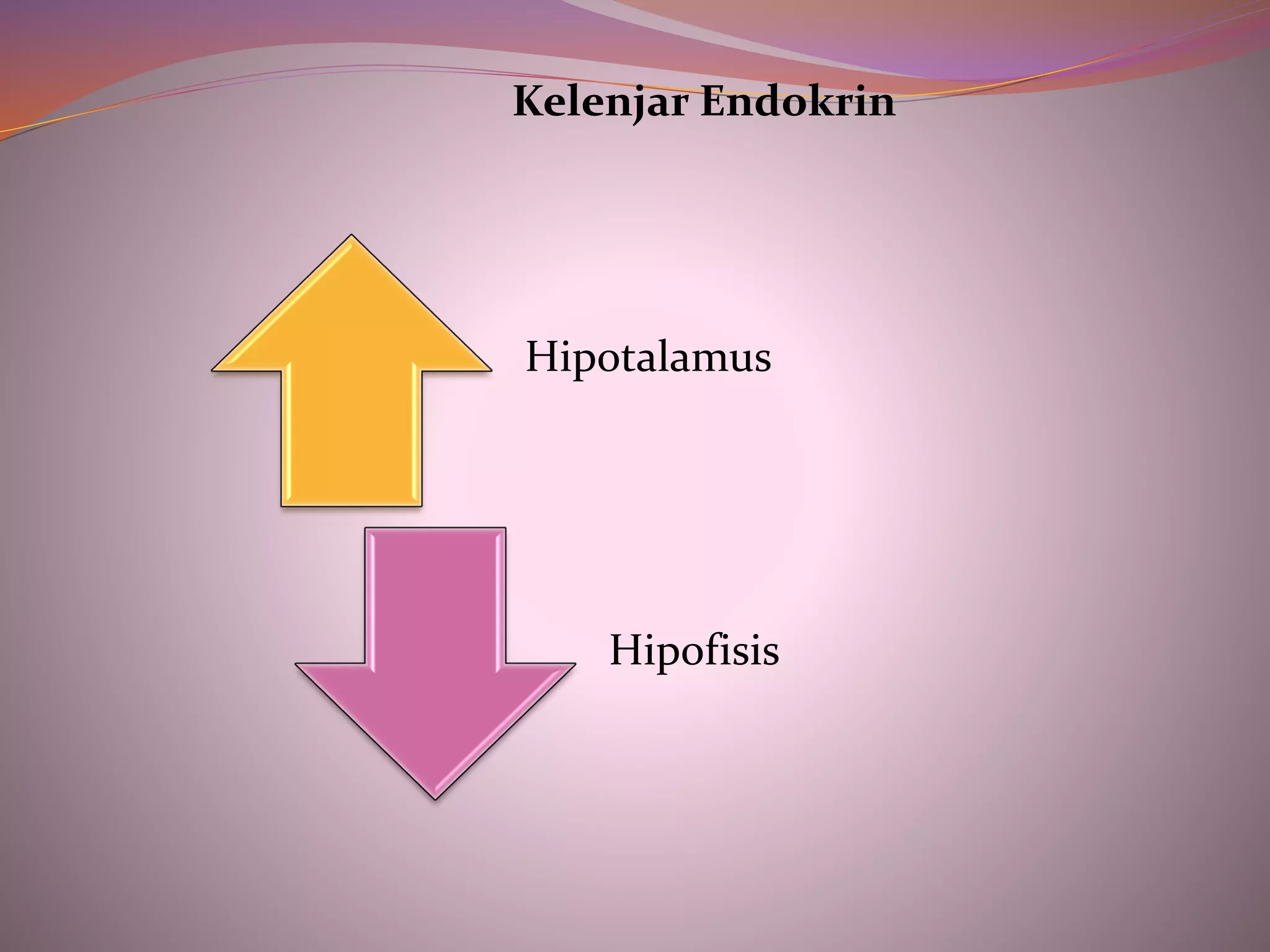 Sistem endokrin | PDF