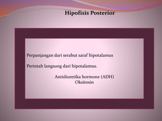 Sistem endokrin | PDF