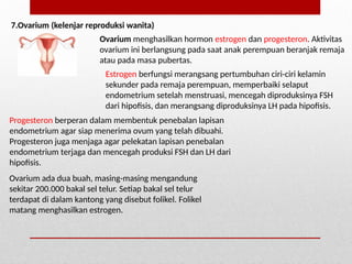 Sistem Endokrin dan anatomi fisiologi manusia | PPTX