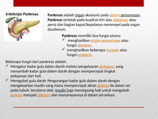 Sistem Endokrin dan anatomi fisiologi manusia | PPTX