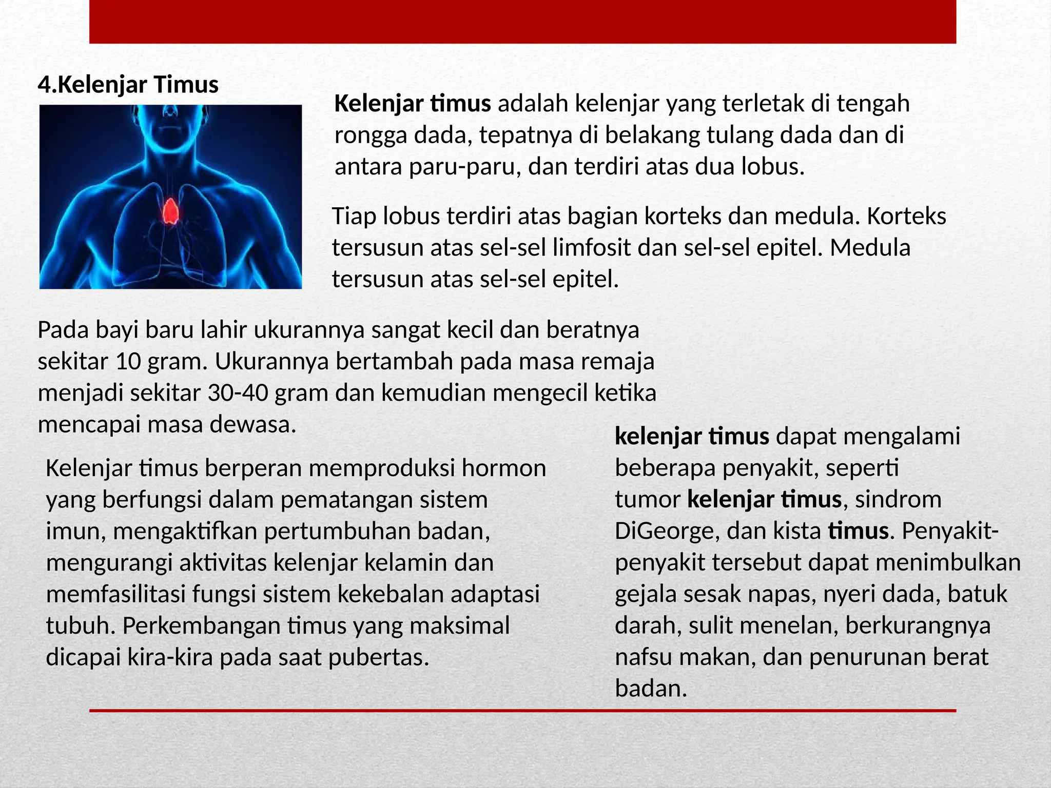 Sistem Endokrin anatomi fisiologi manusia | PPTX