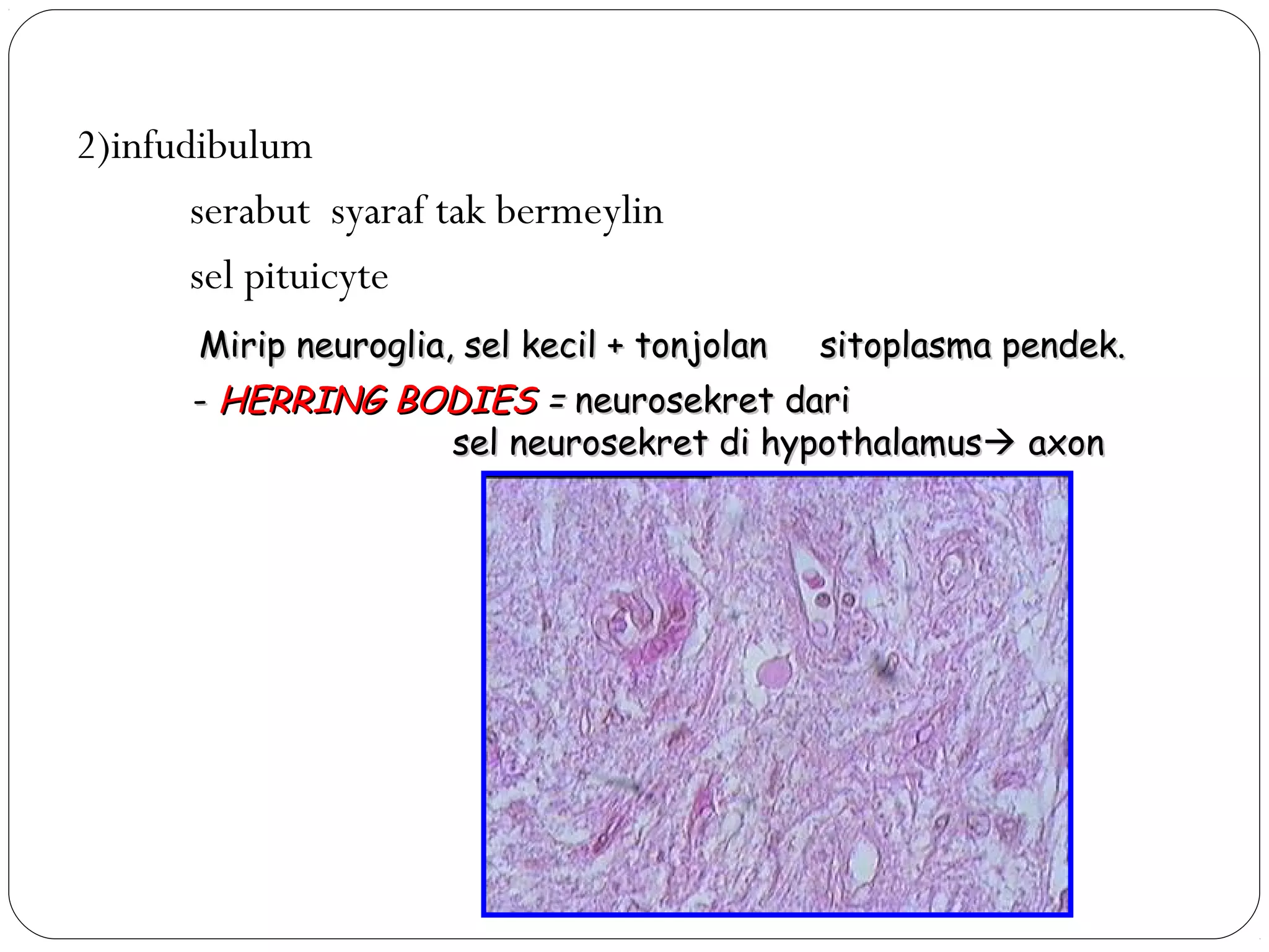 Sistem endokrin | PPT