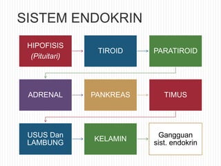 Sistem Endokrin | PPT