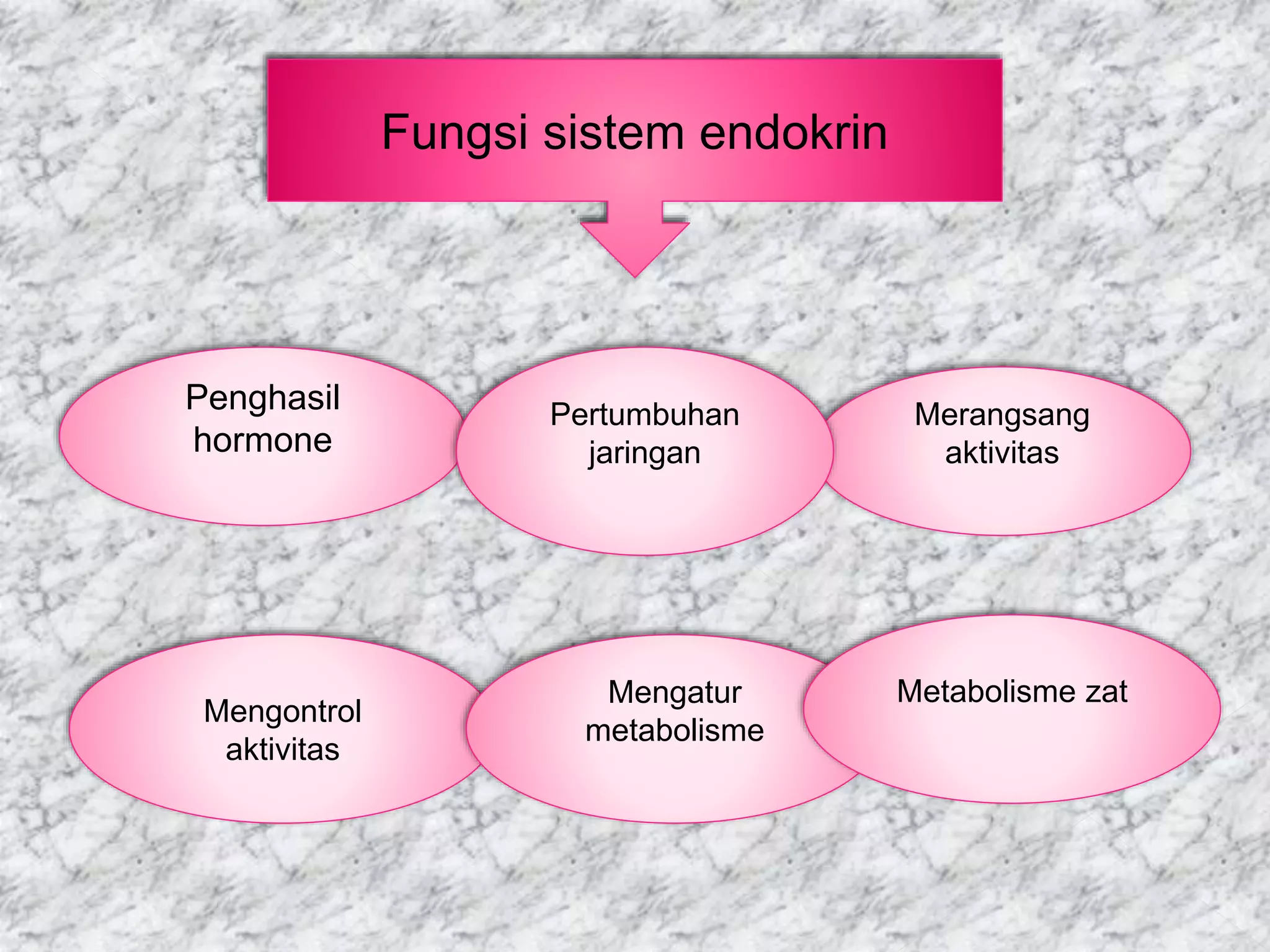 sistem endokrin kelompok 3.pptx
