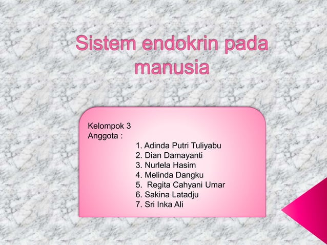 sistem endokrin kelompok 3.pptx
