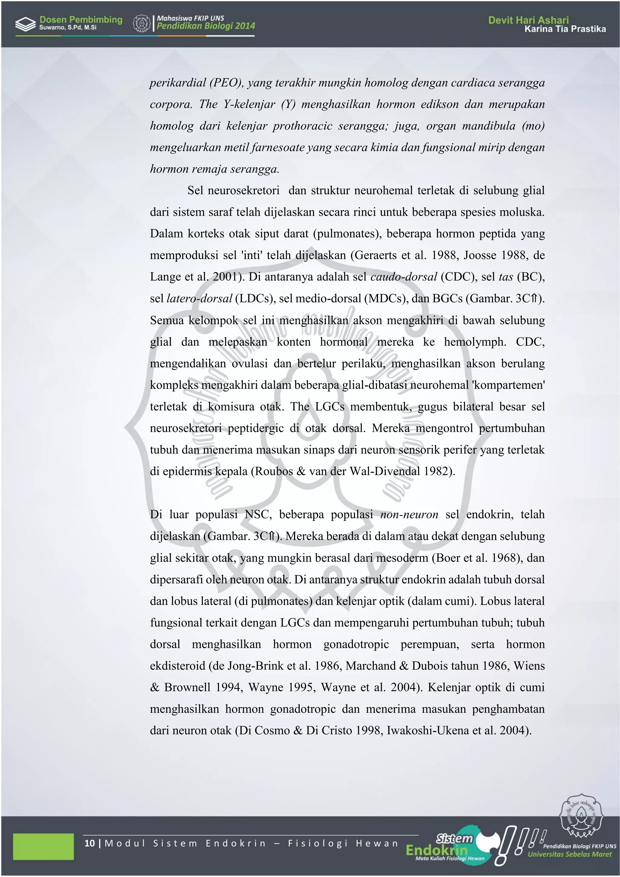 Sistem endokrin pada hewan | PDF