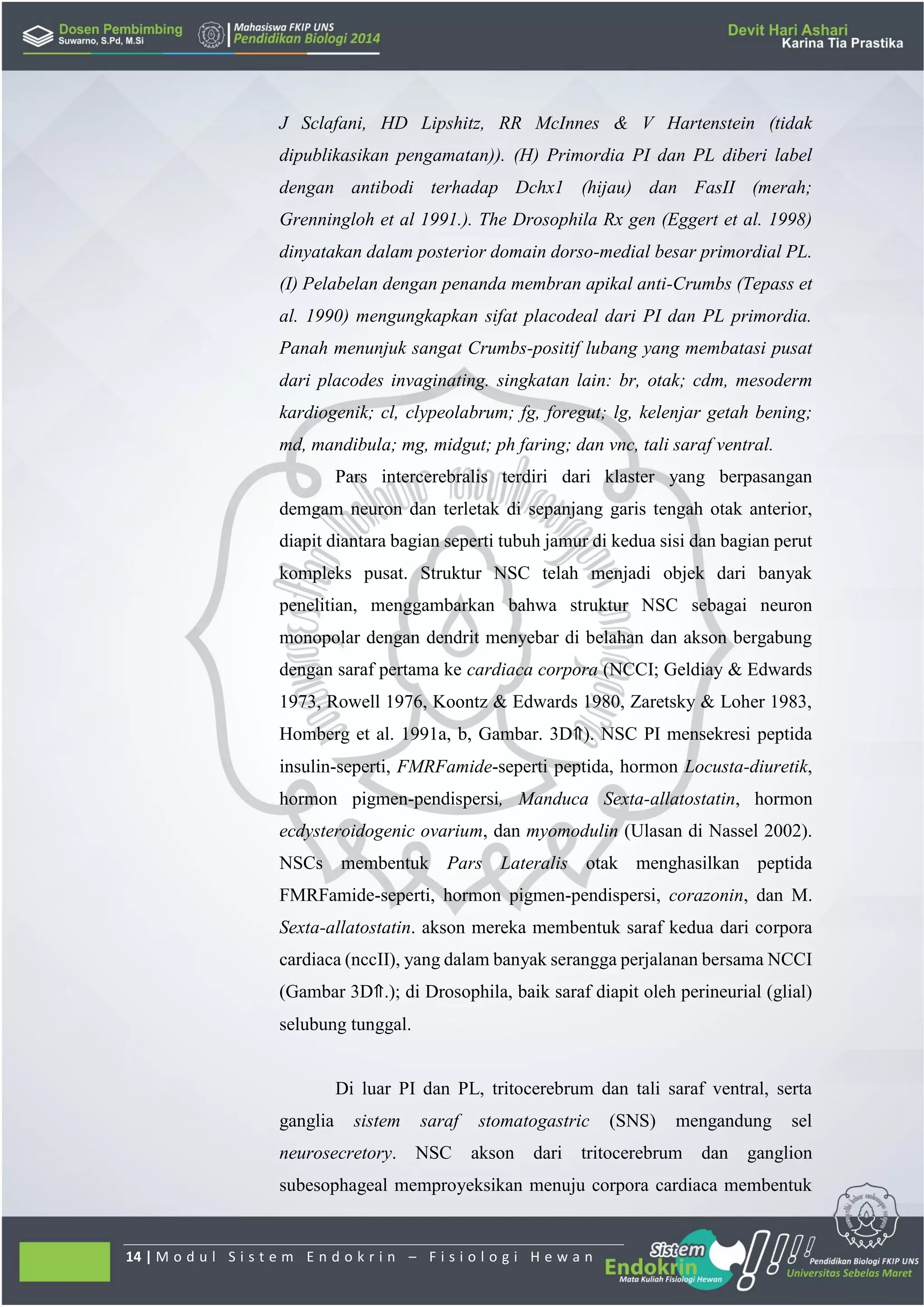 Sistem endokrin pada hewan | PDF