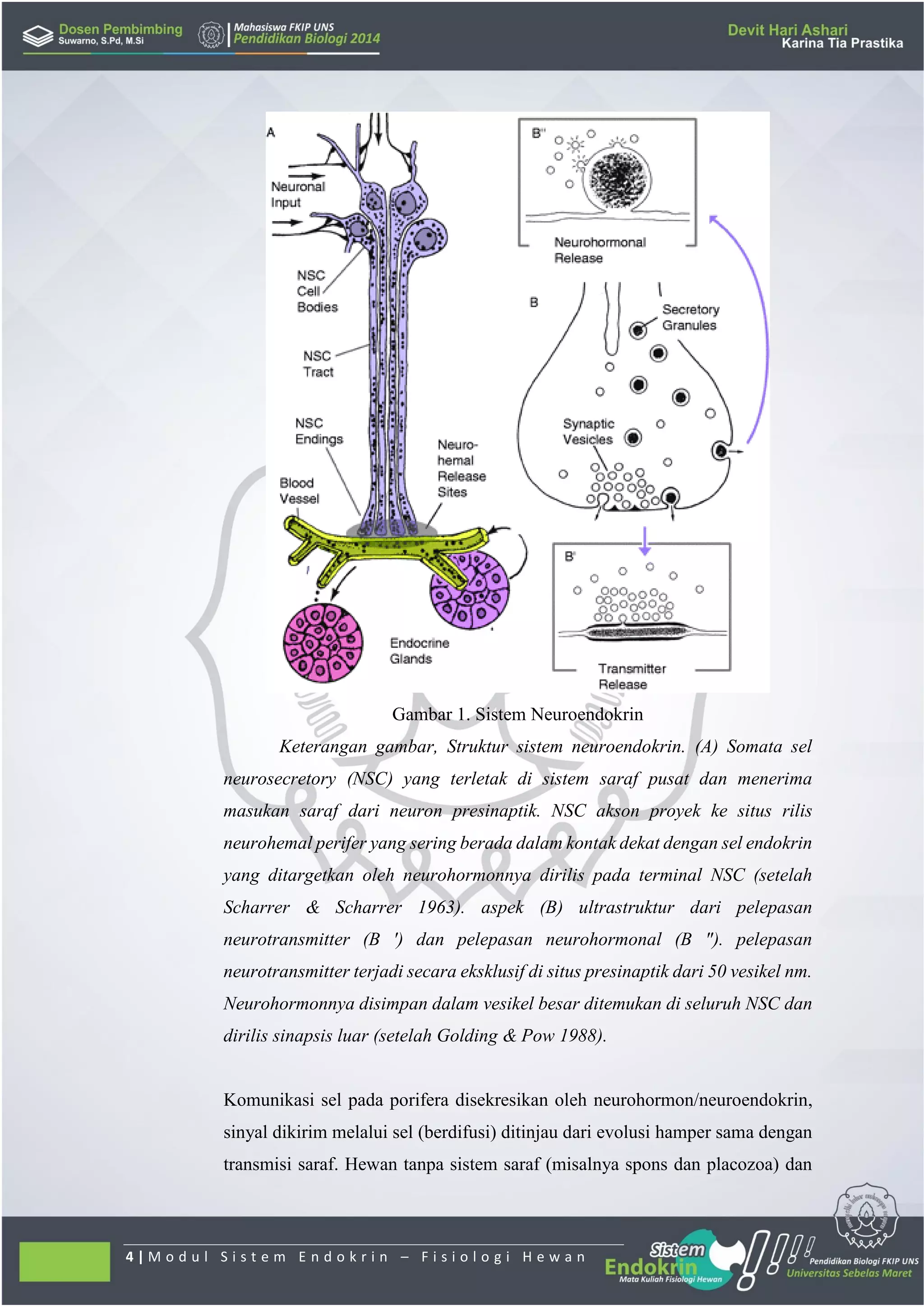 Sistem endokrin pada hewan | PDF