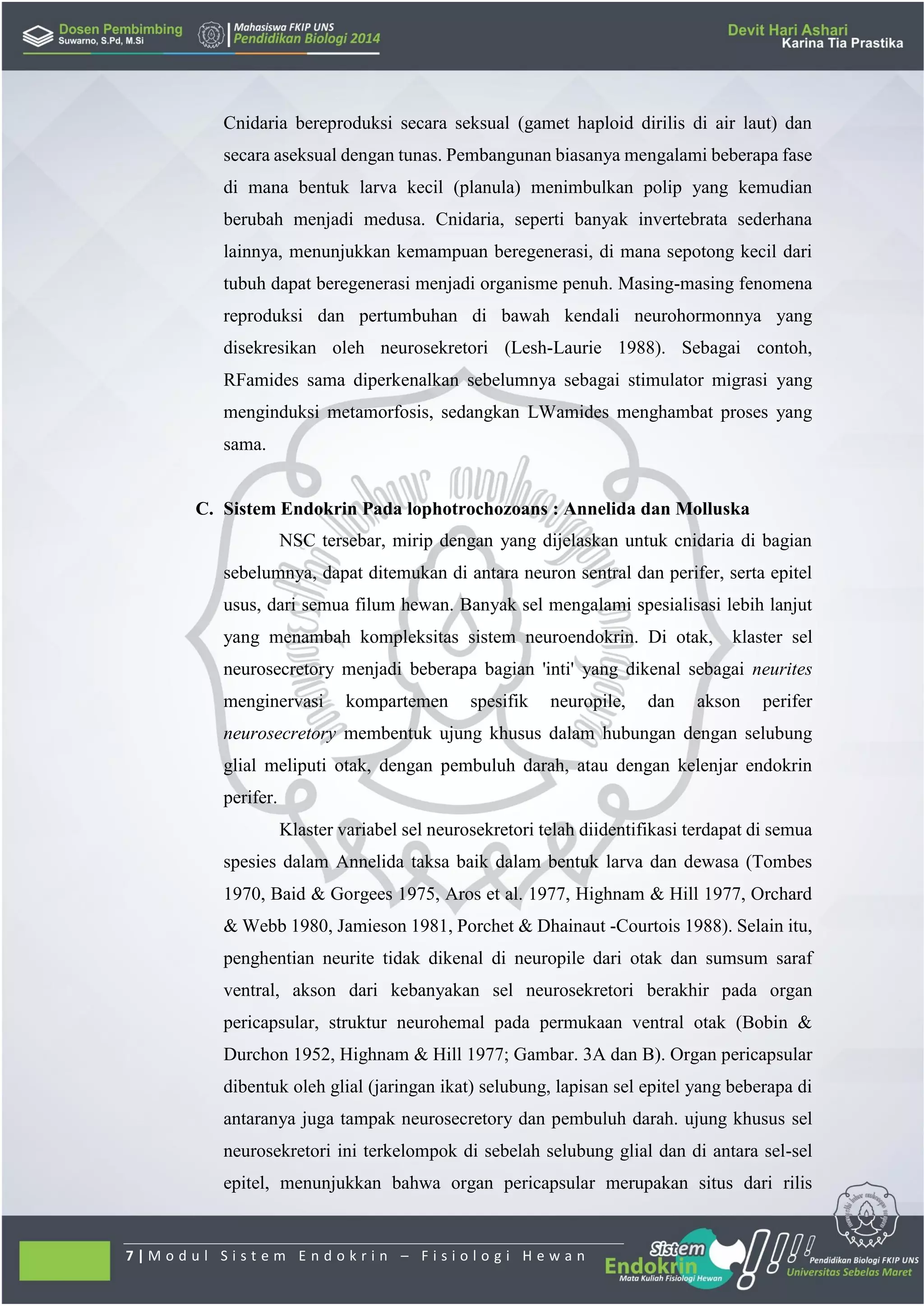 Sistem endokrin pada hewan | PDF