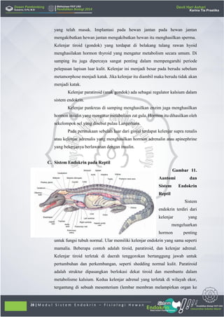 Sistem endokrin pada hewan | PDF