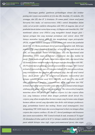 Sistem endokrin pada hewan | PDF