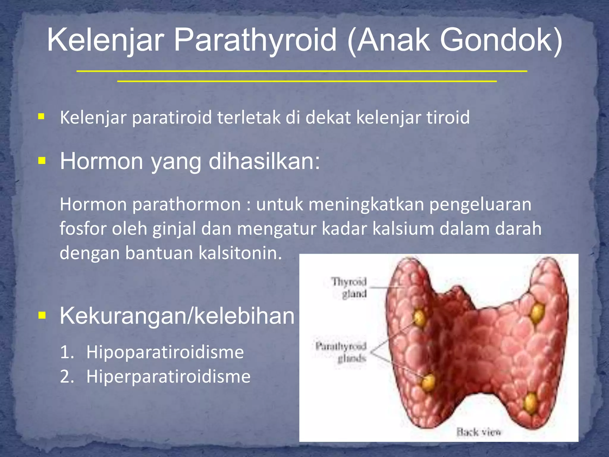 Sistem endokrin (ratna) | PPTX
