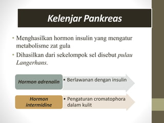 Sistem endokrin | PPTX
