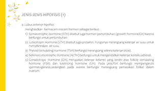 Sistem Endoktrin.pptx
