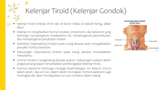Sistem Endoktrin.pptx