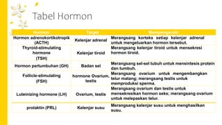 Sistem Endoktrin.pptx