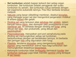 Sistem endomembran | PPTX