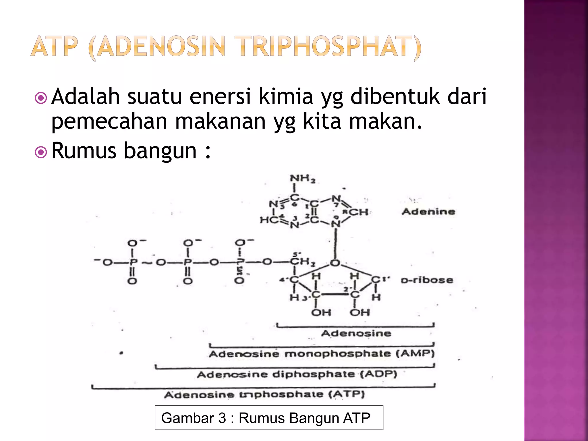 Sistem energi | PPT