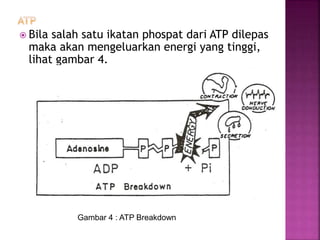 Sistem energi | PPT
