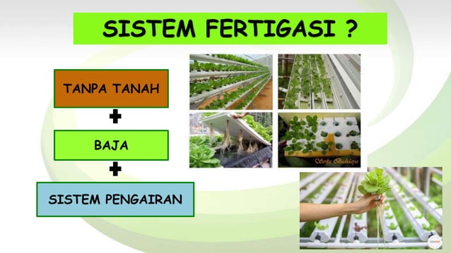 RBT TINGKATAN 1: BAB 5.1 Reka Bentuk Sistem Fertigasi RBT (Part 1) | PPTX