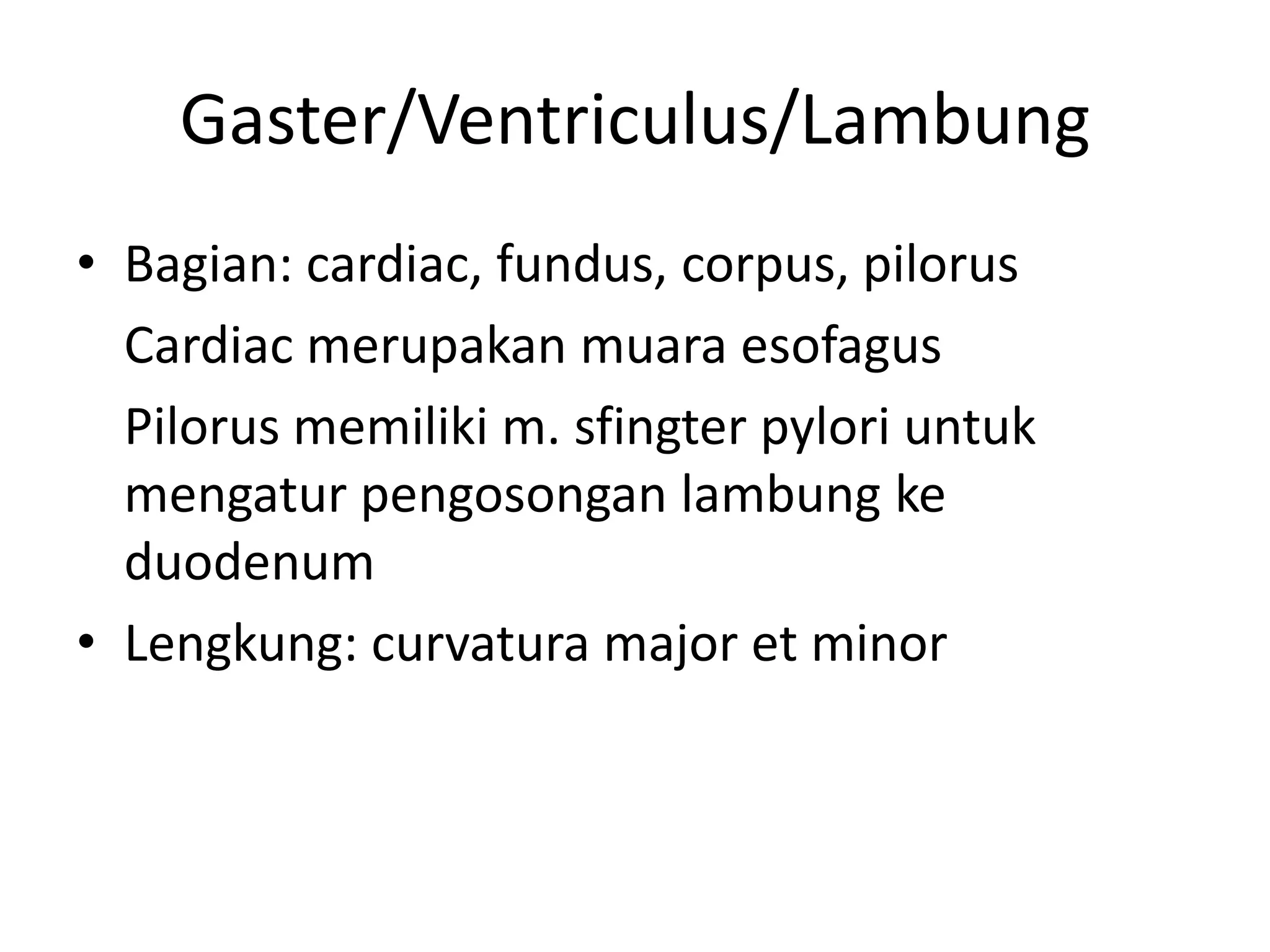 Sistem gastrointestinal | PPTX