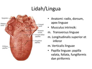 Sistem gastrointestinal | PPT