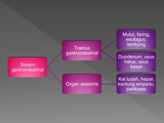 Sistem Gastrointestinal | PPTX