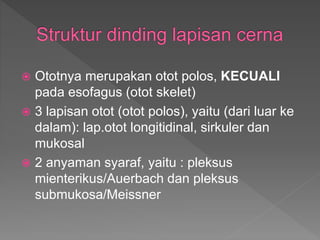 Sistem Gastrointestinal | PPTX